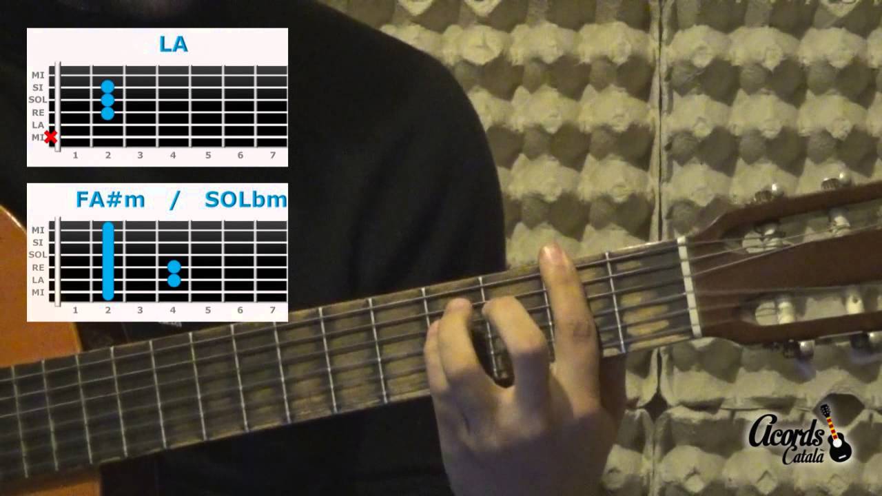 Tutorial 5/5 - Aprèn a tocar la guitarra en 5 passos - YouTube