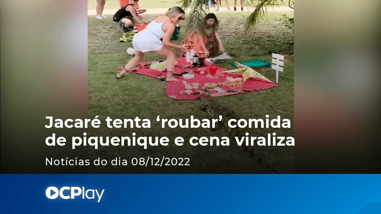 Jacaré tenta ‘roubar’ comida de piquenique e cena viraliza - YouTube