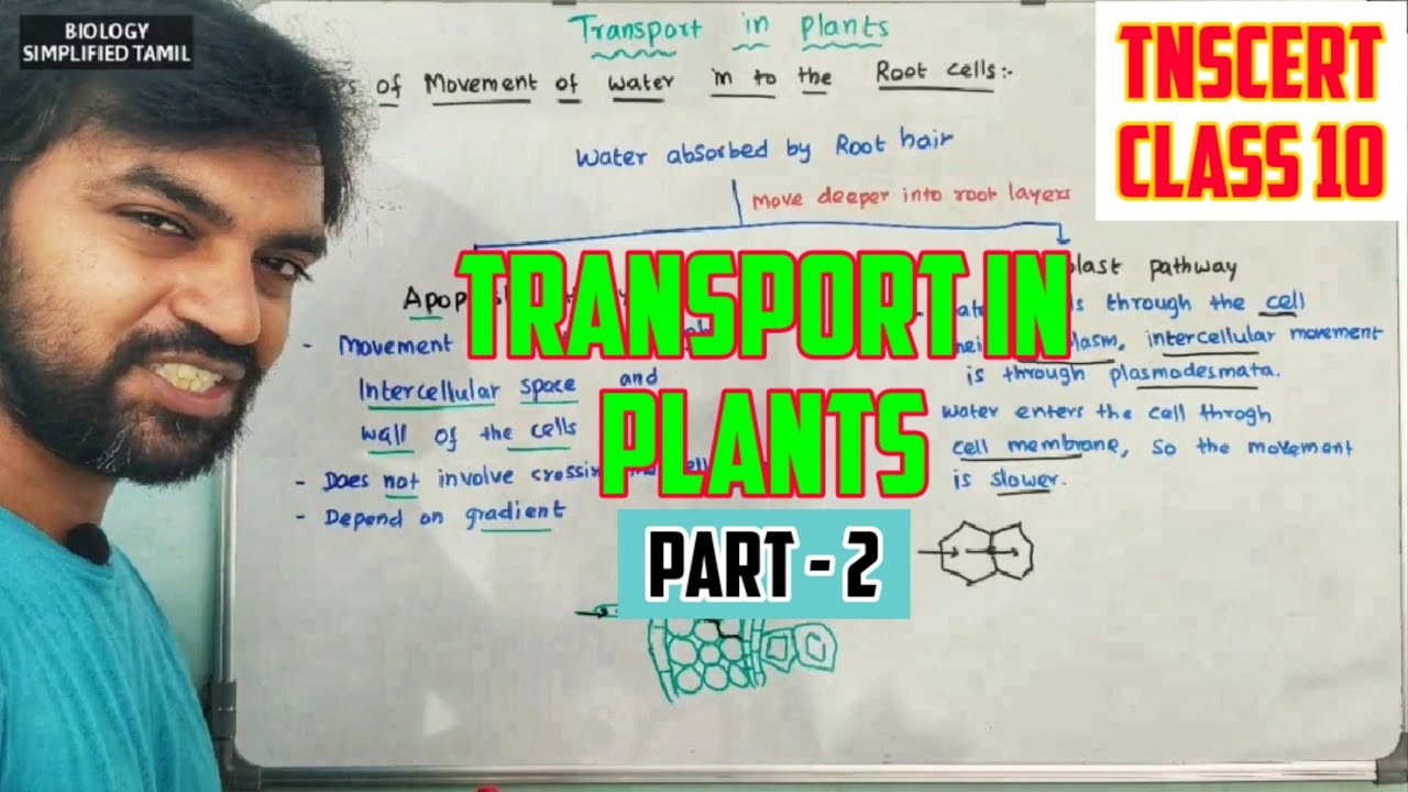 Transport in Plants | Part 2 | TNSCERT Class 10 - YouTube