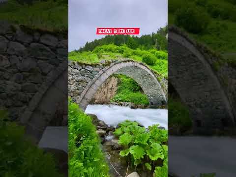 Sevmeseydin - Yurtseven Kardeşler