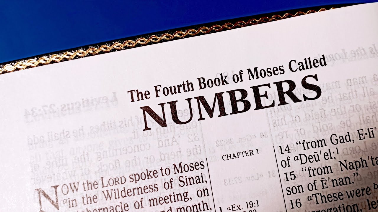 Numbers 14:8 - YouTube
