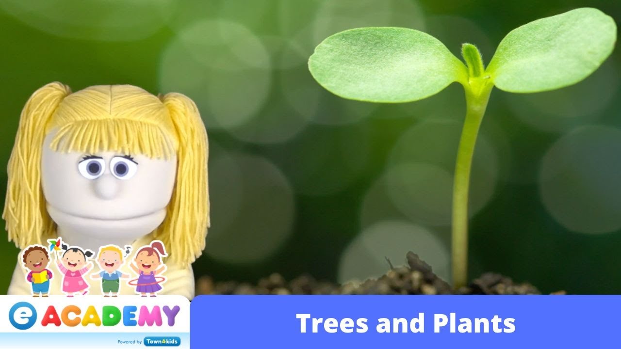 Trees and Plants | Growth of a Tree | STEM Songs for Kids ...