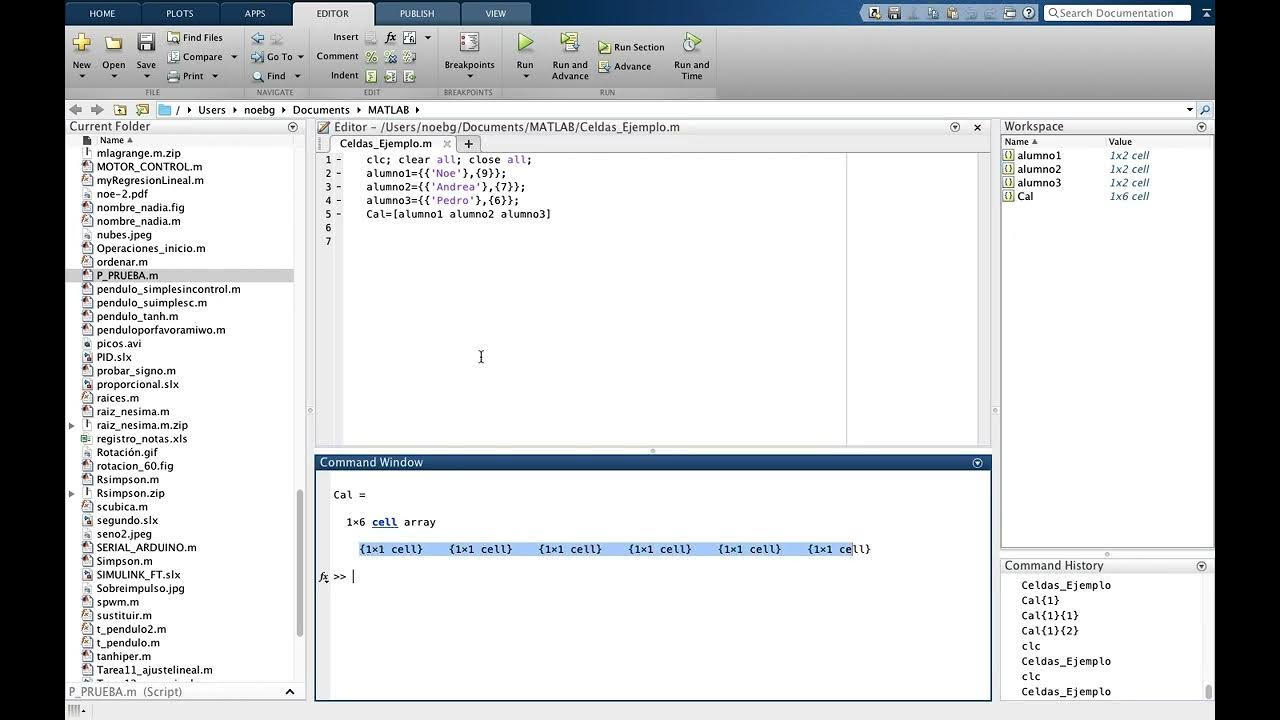 Uso de Celdas en Matlab - YouTube