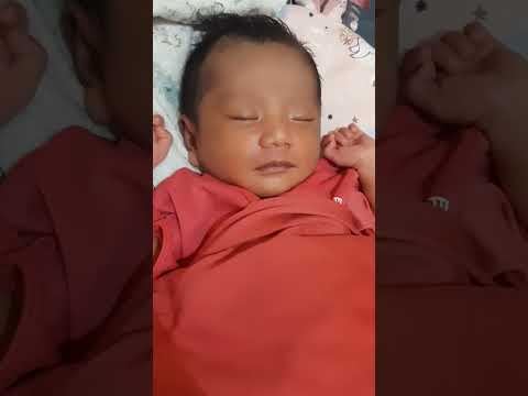 Baby shanum cekukan umur 1 minggu - YouTube