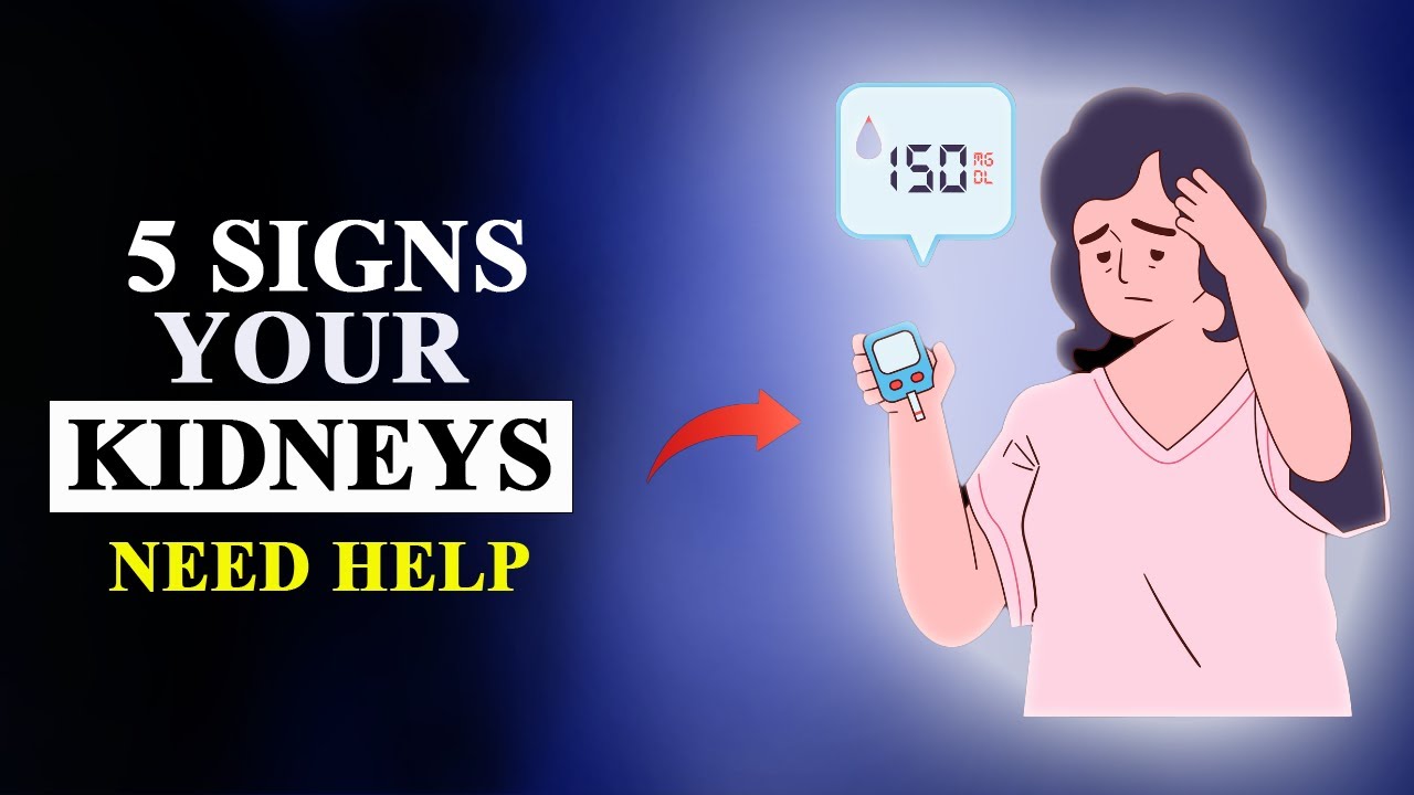 Top 5 Early Signs Your Kidneys Need Help | Senior Health Tips - YouTube