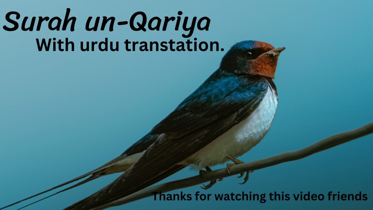 | Surah Al-Qariya with Urdu Transtation |#surahqariah #surah #quran # ...