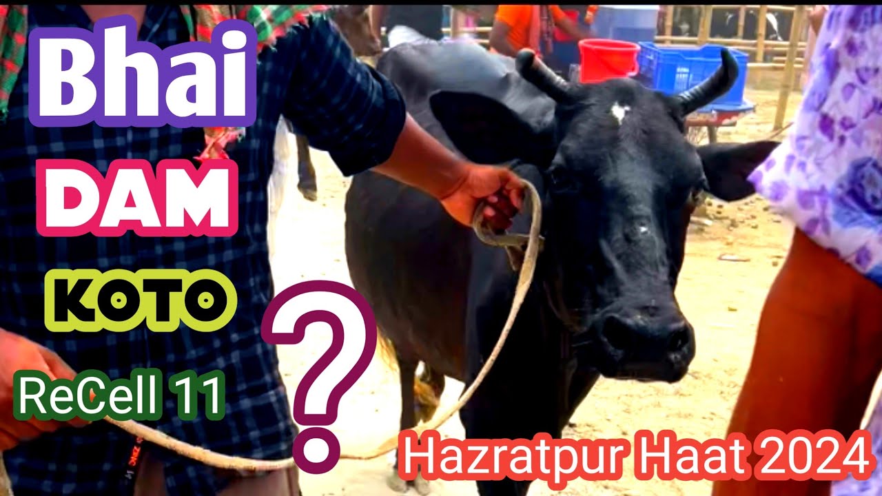 ভাই দাম কত?Hazratpur Para Gram Haat-2024!Qurbani Eid!ReCell-11!আজকের ...
