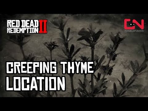 Red Dead Online - Creeping Thyme Location - Daily Challenge - YouTube