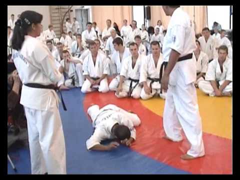 Семинар Канте Ашихара Хиденори