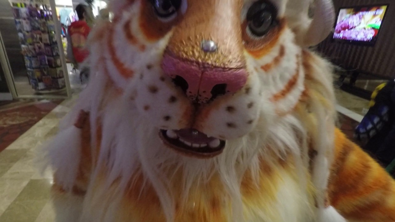 Biggest Little FurCon BLFC 2017 Nose Boop Video - YouTube