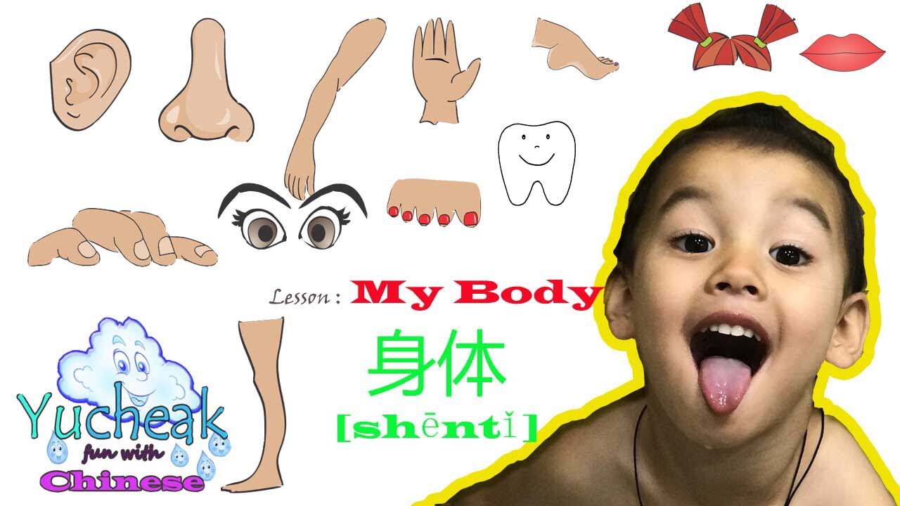 My body. Chinese for kids.Learn the parts of the body.Body parts in ...