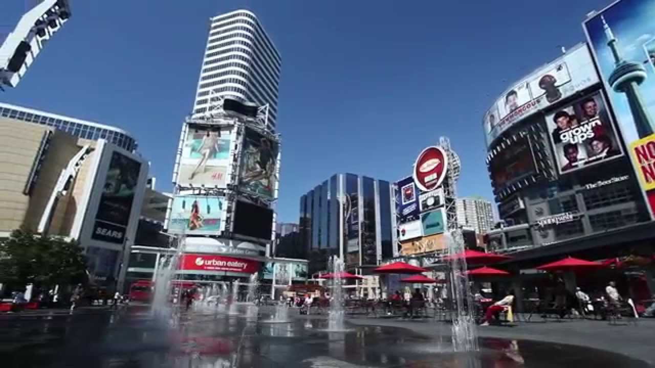 Why Study Business at TRSM? - YouTube