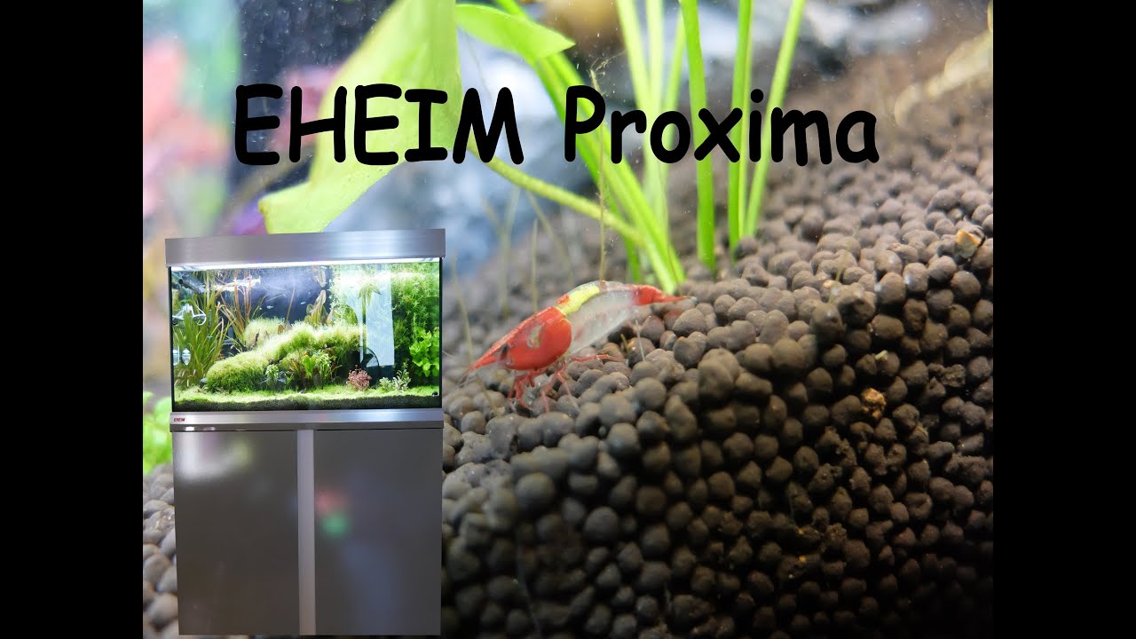 Eheim Proxima 250 - YouTube