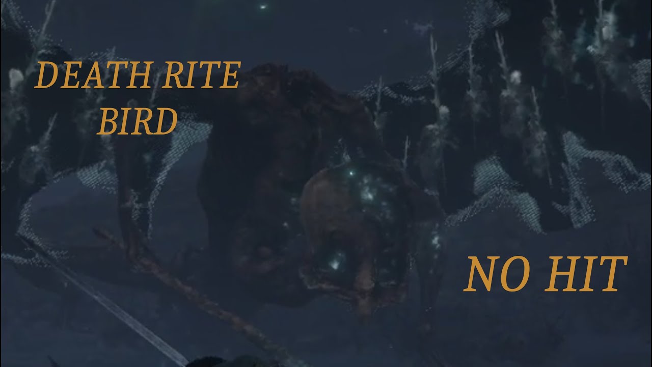 Elden Ring Death Rite Bird No Hit - YouTube