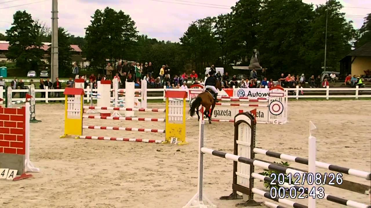 Inka - Polish Championships for Young Horses (MPMK) - YouTube