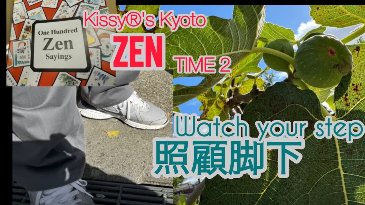 ZEN time 2 Watch your step 照顧脚下 - YouTube