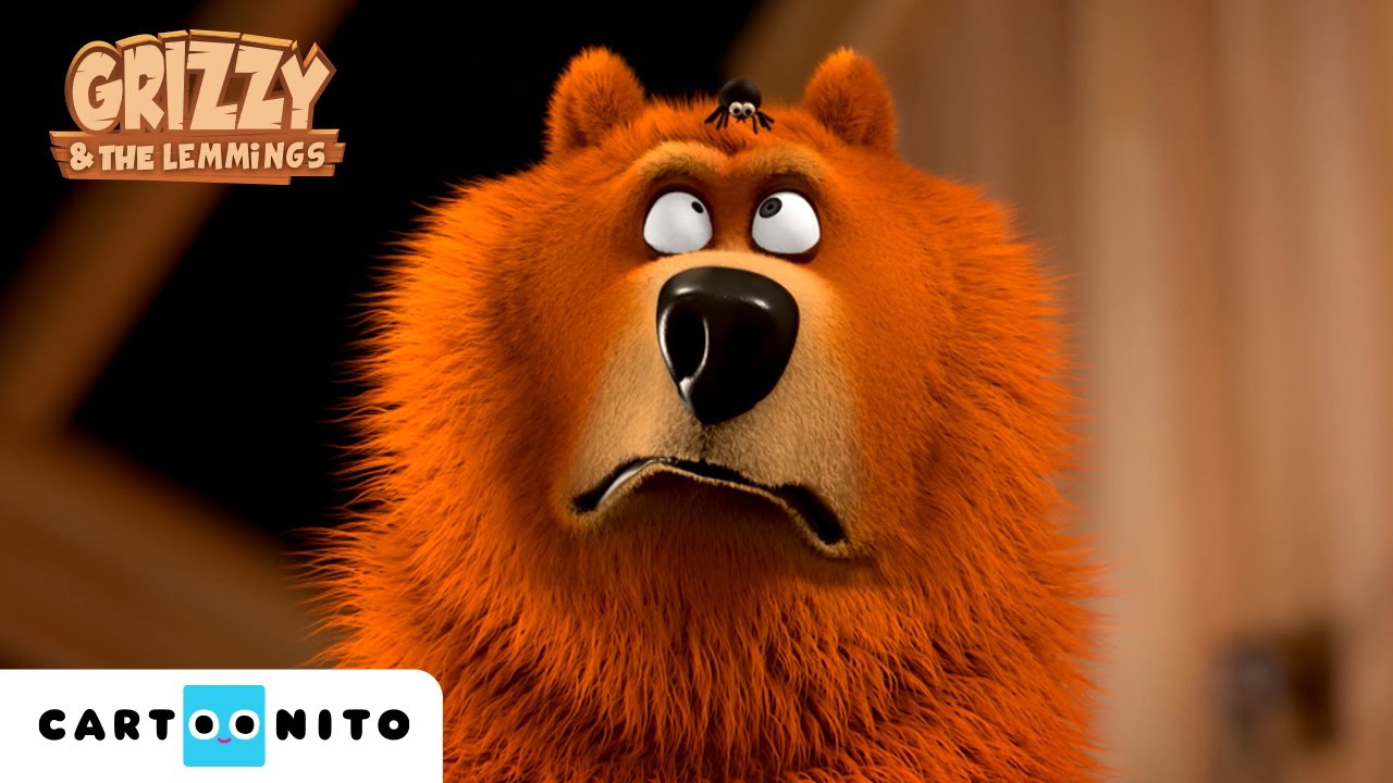Protejați păianjenul | Grizzy și lemingii | Cartoonito - YouTube