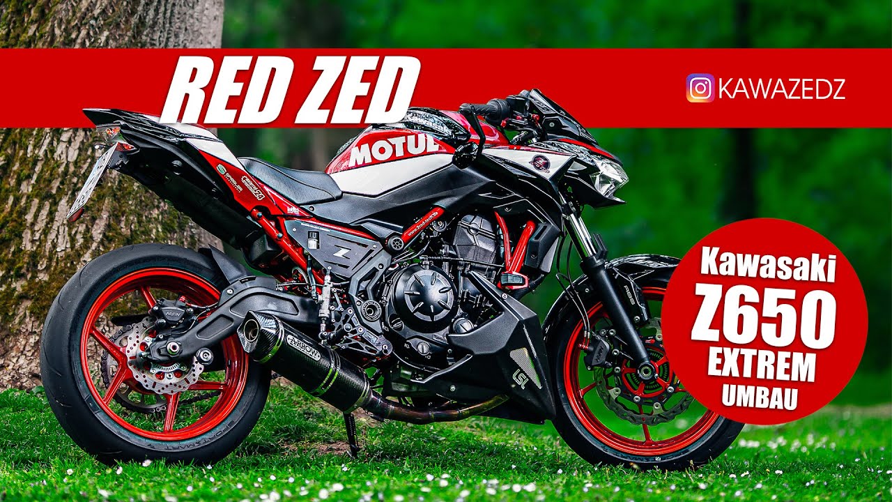 RED ZED - KAWASAKI Z650 - Racebike Tuning für die Straße 🔥 - YouTube