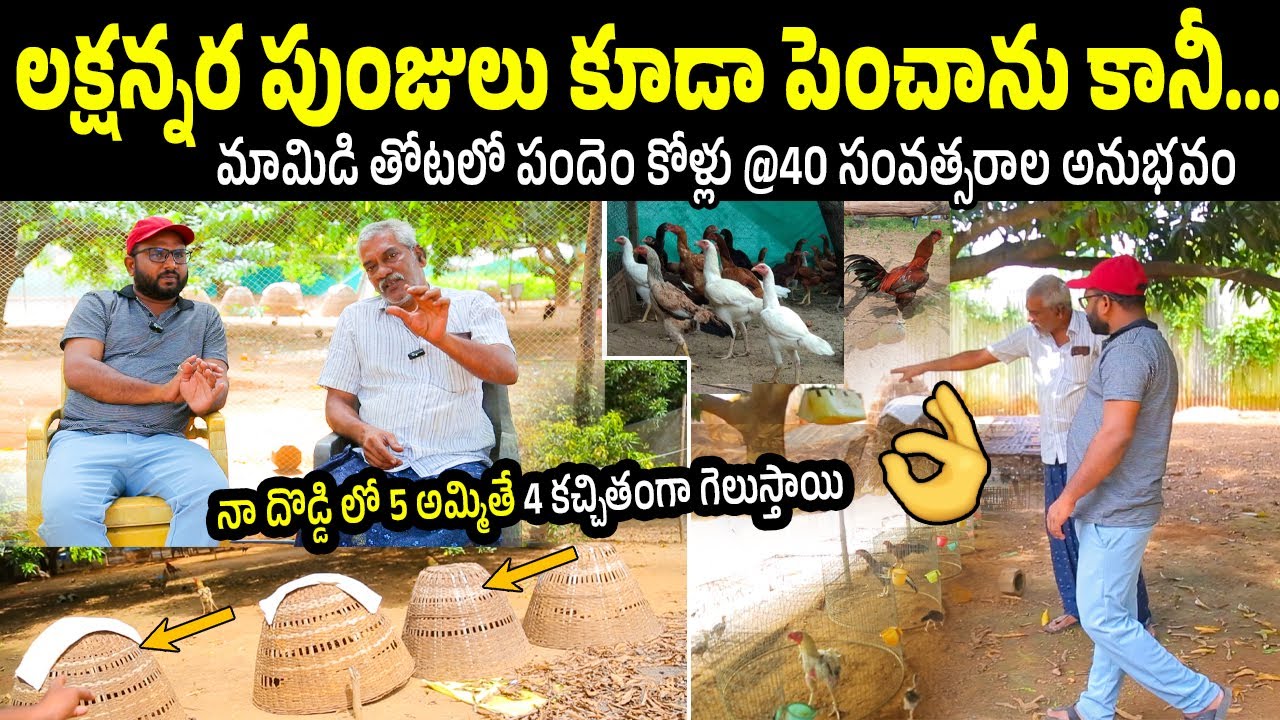 Varonica Farms Farmer Anil Gari Success Story | మామిడి తోటలో లక్షన్నర ...