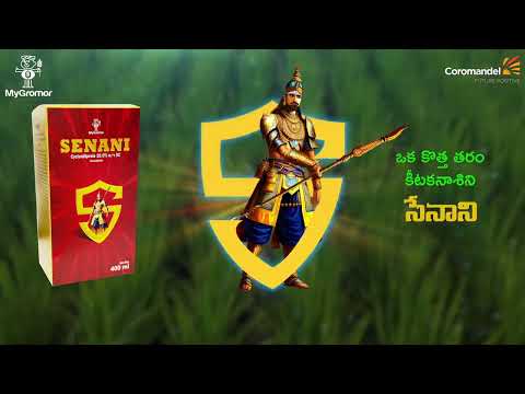 Gromor Senani – The Defender of Crops_Animated Ad Film