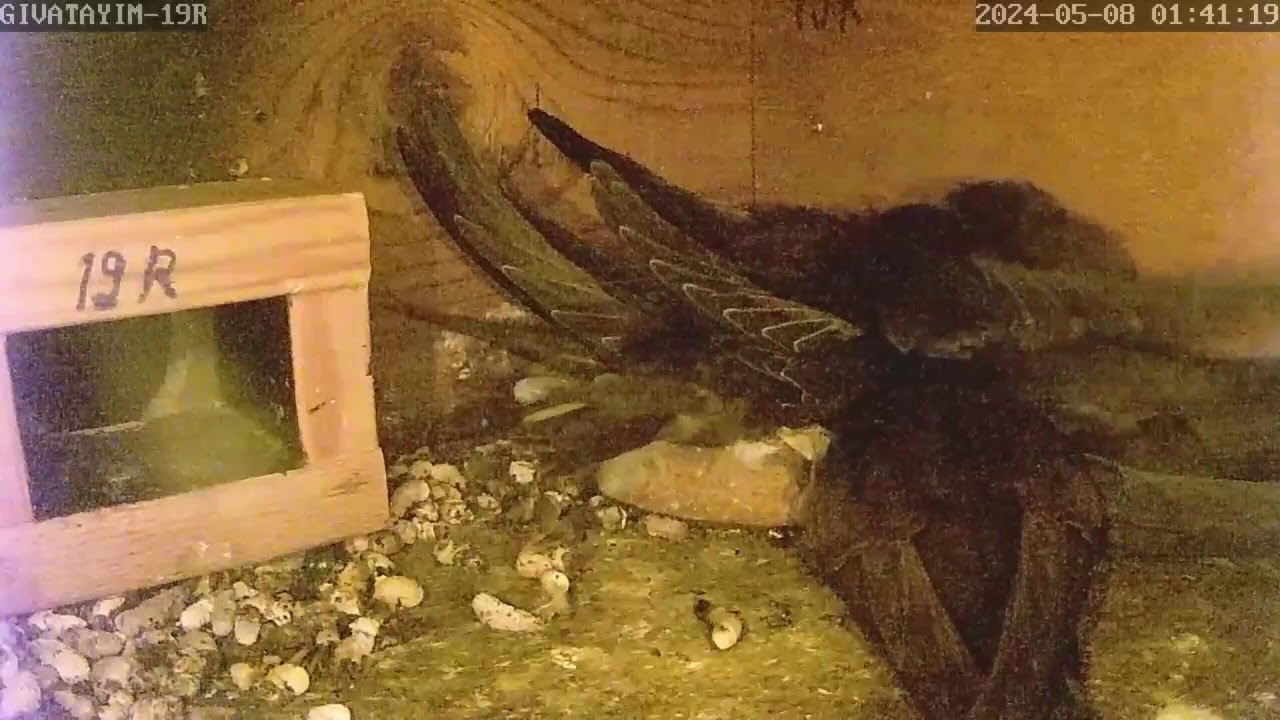 19R 22:40:37.223 2024-05-07 - YouTube