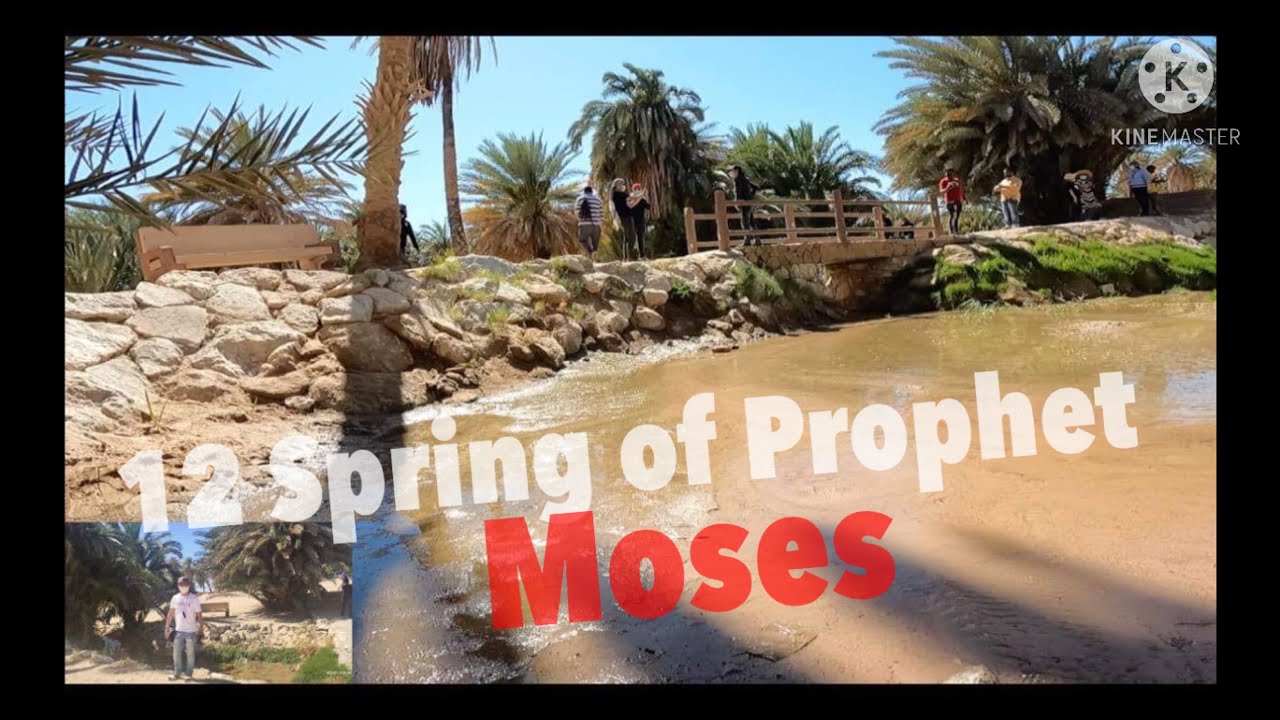 12 spring of Moses “ Makna also known as Magna is a town in Tabuk ...