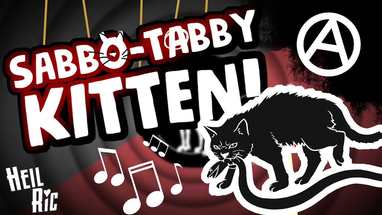 Sabbo-Tabby KITTEN (Dixie) ♪ 🏴 | Anarchist Solidarity song - Heil Ric ...