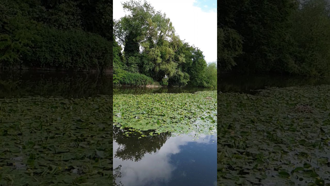 Beautiful nature in slow motion. - YouTube