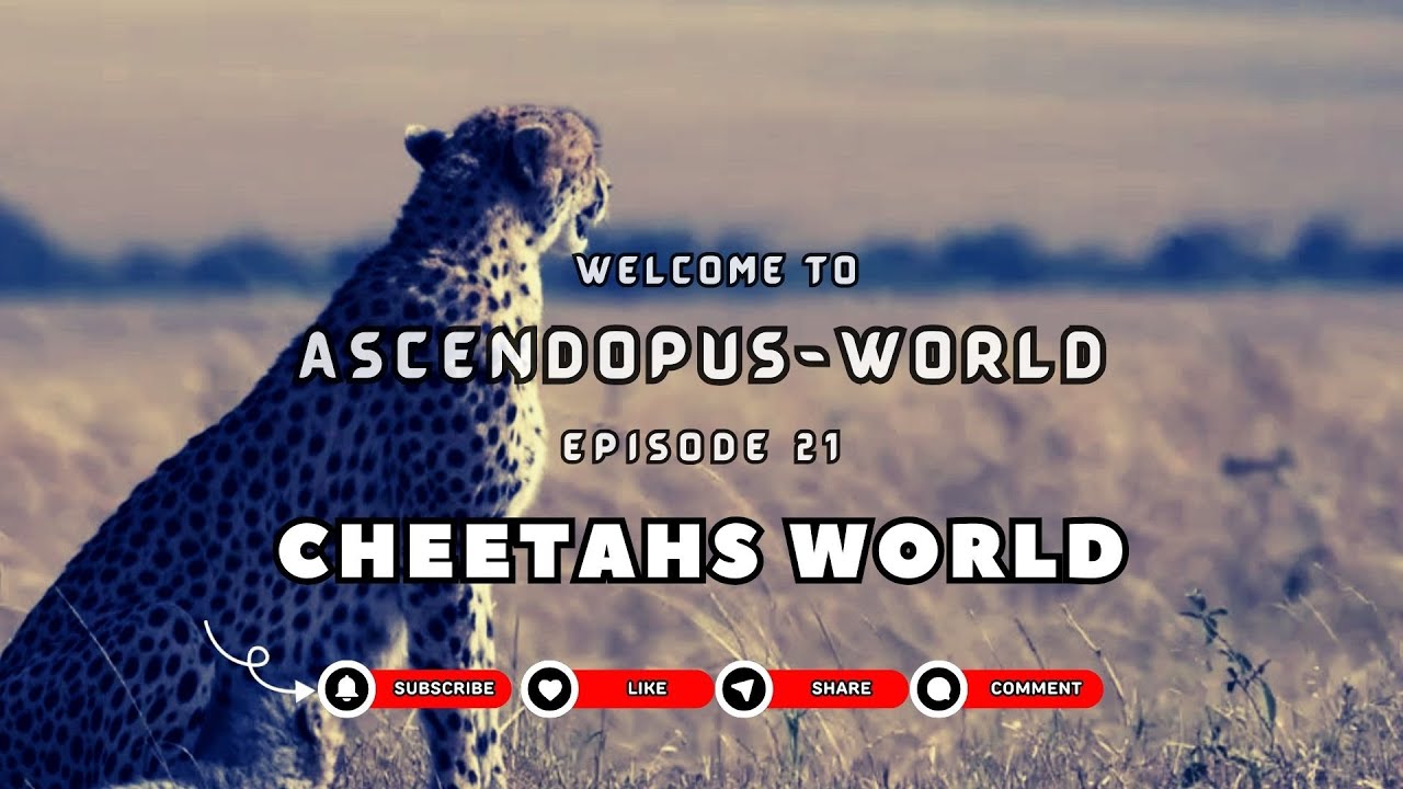 Episode 21: Creatures of Earth I Cheetahs World I @Ascendopus-World ...