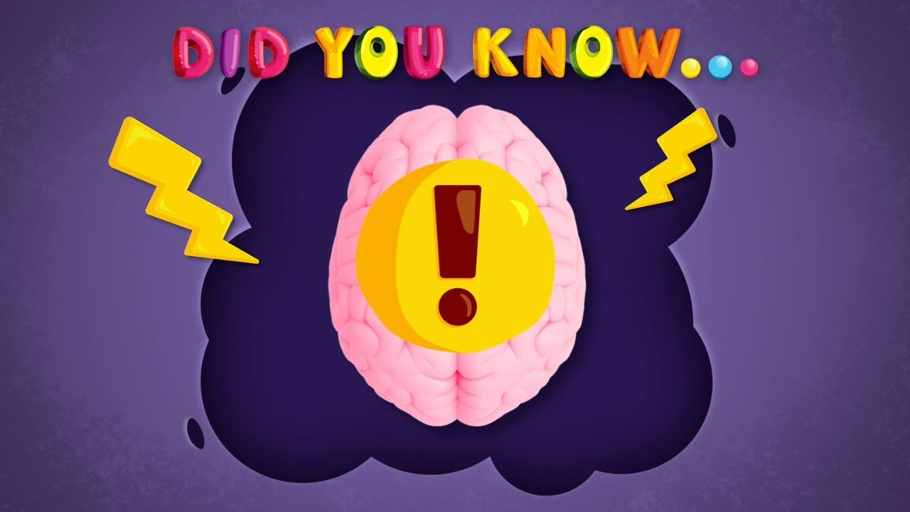 Brain Basics: Anxiety Explained - YouTube