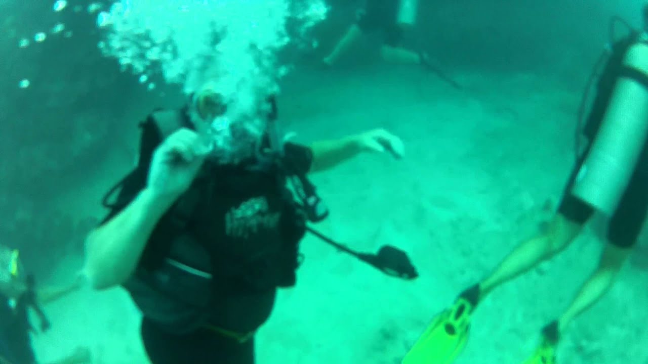 Bermuda Scuba Diving 2015 - YouTube