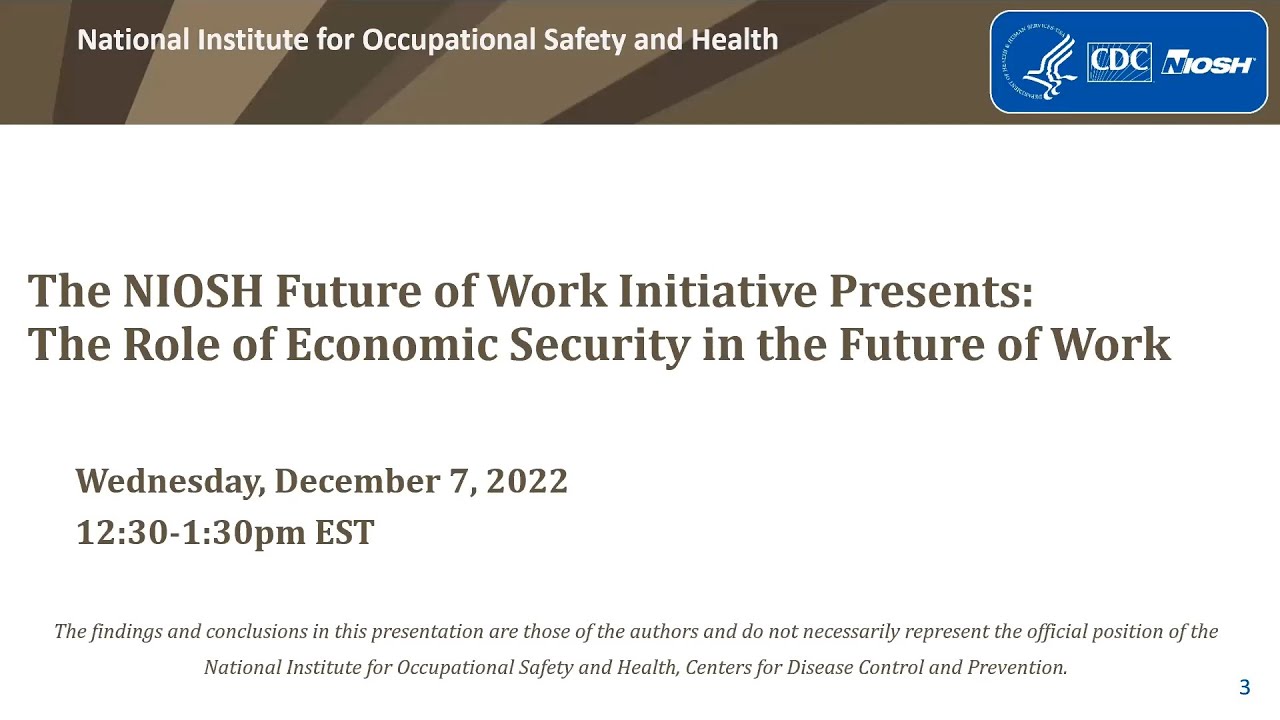 The Role of Economic Security in the Future of Work - YouTube