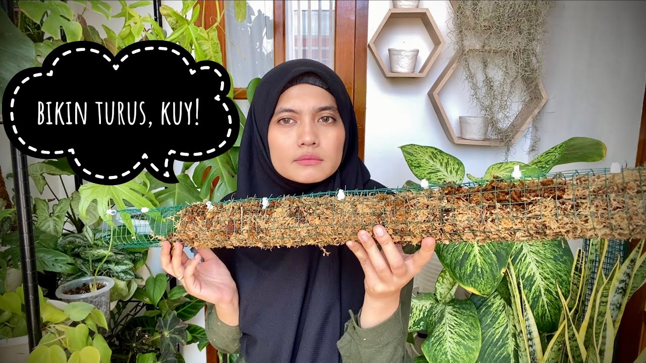 tutorial membuat turus tanaman hias termudah - YouTube