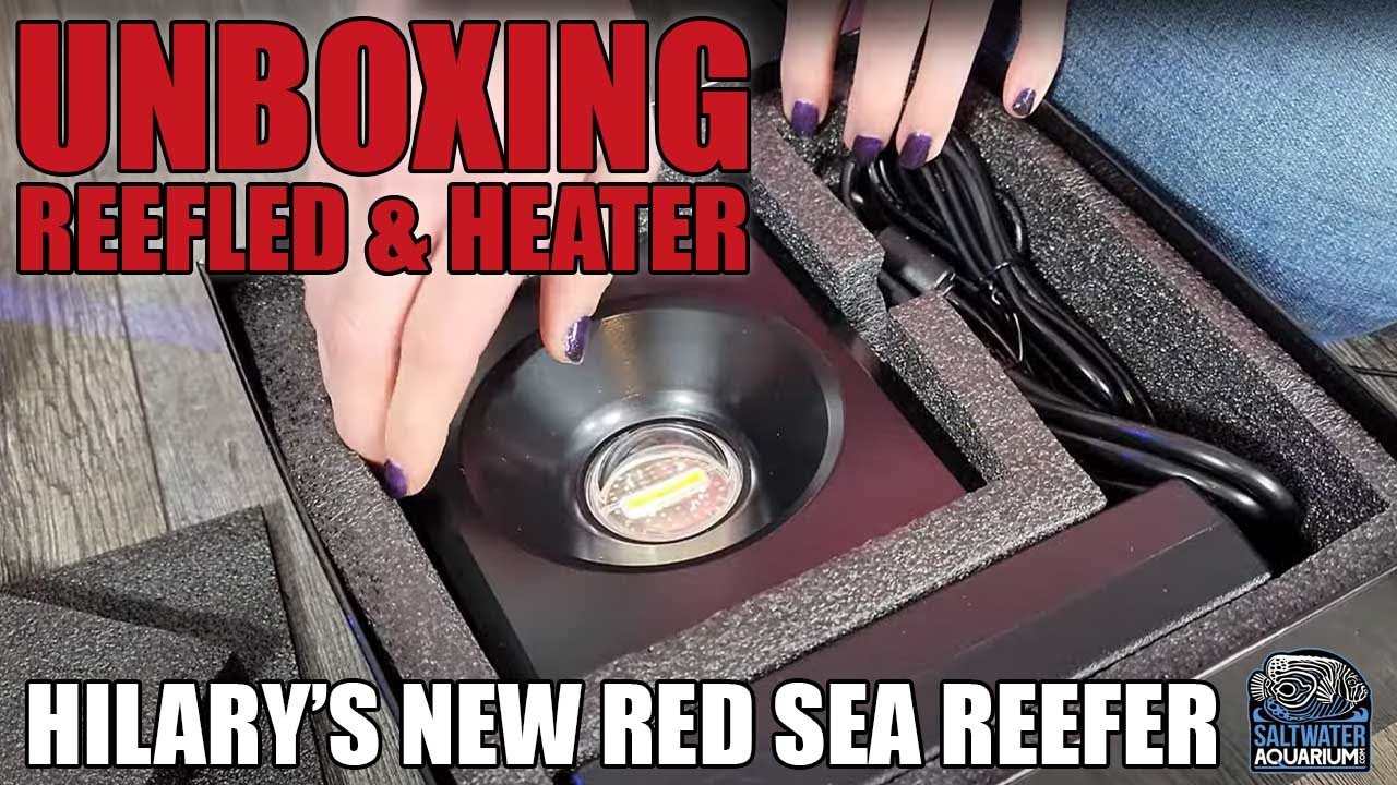 UNBOXING ReefLED & IM Helio Heater - Hilary's New RED SEA Reefer - YouTube