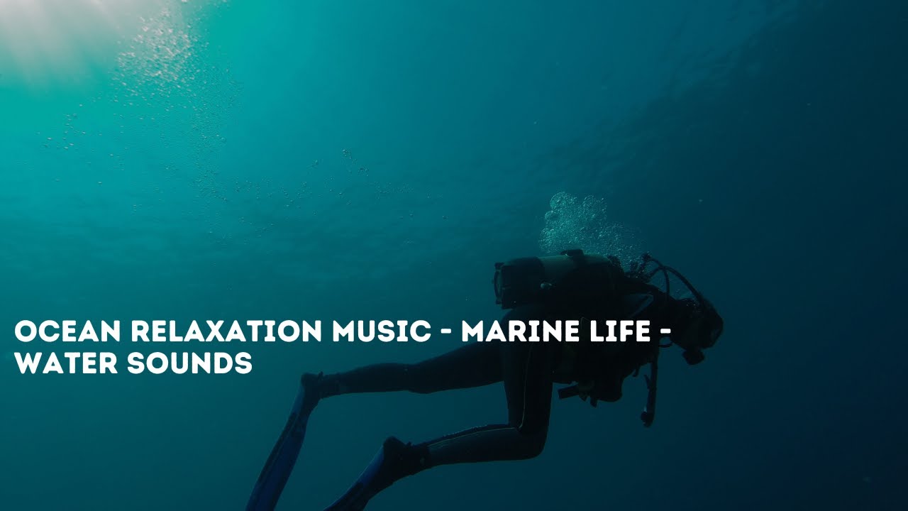 Ocean Relaxation Music - Marine Life - Water sounds - Calm The Mind ...