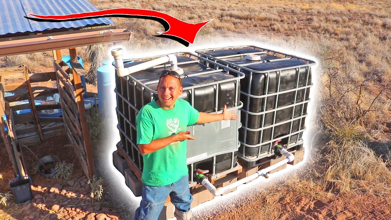 Easy DIY Rainwater Harvesting Using IBC Totes - YouTube