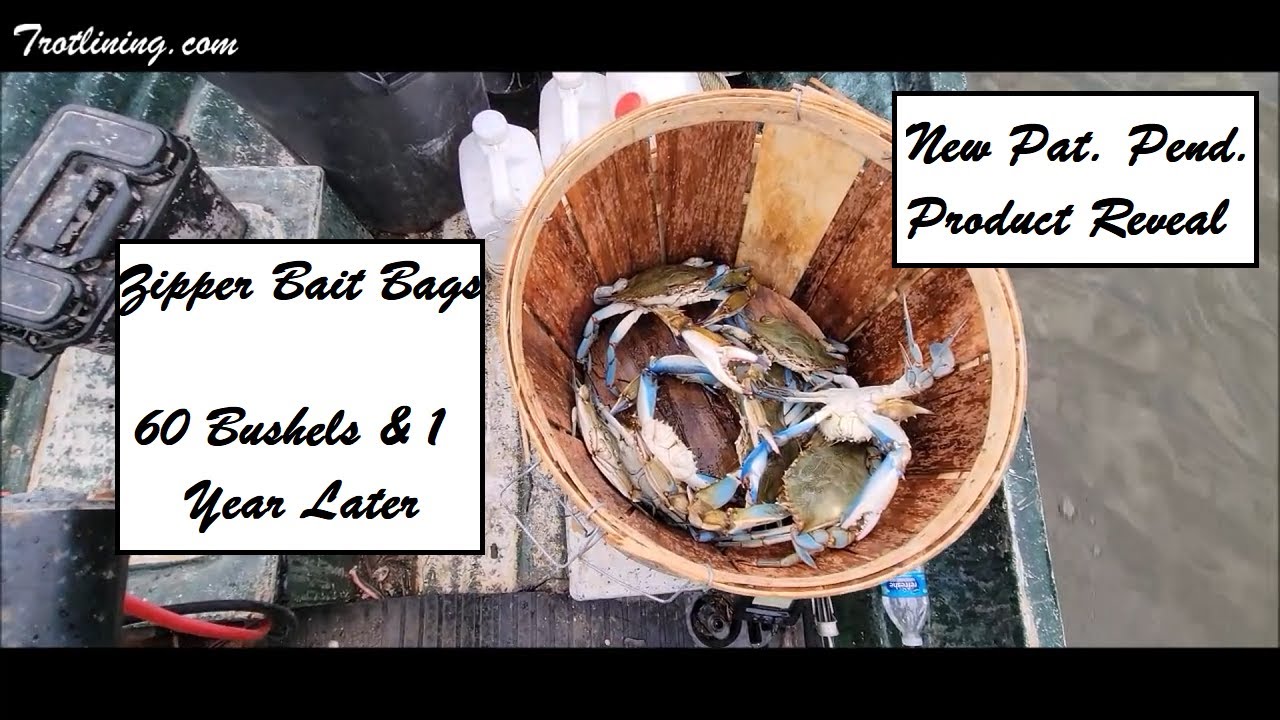 How to - Trotline Crabbing - Today - Super new - YouTube