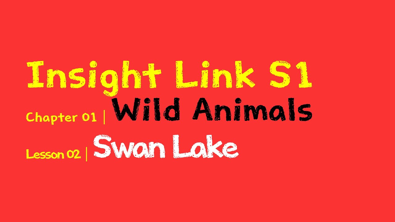 Insight Link S1 Lesson 2 - YouTube