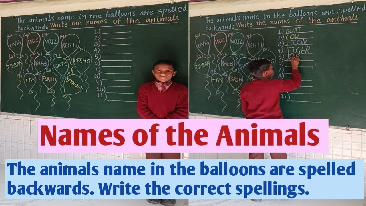 Names of the Animals/Animal's Names/English Exercise/Spell the words ...