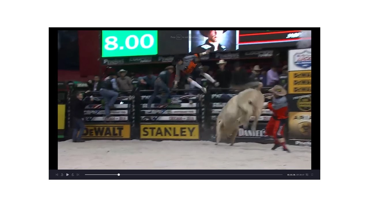 Hold on tight as we take you on a wild ride into the world of bull ...