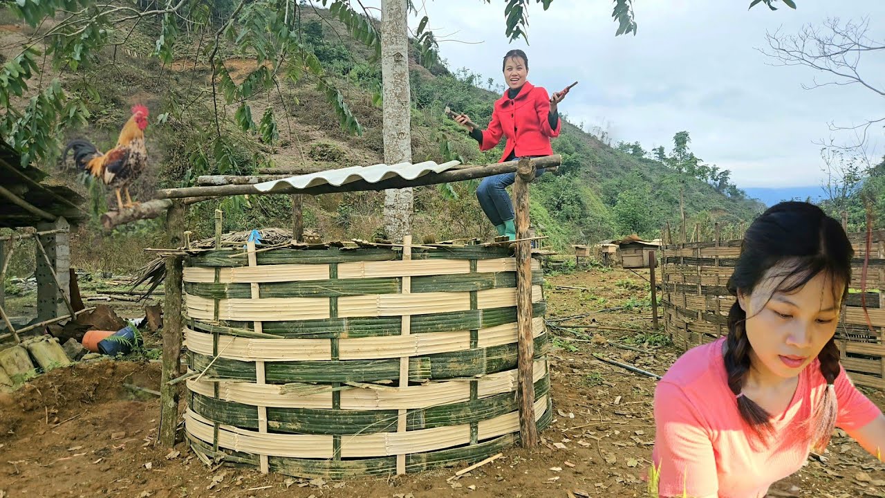 make a coop for chickens lý thị hương - YouTube