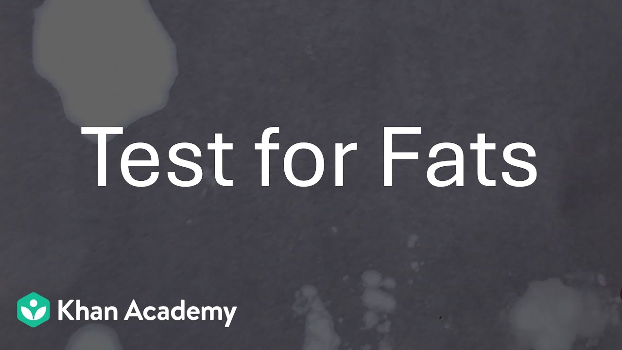 Test for Fat | Mindful Eating | Middle School | Science | Khan Academy ...
