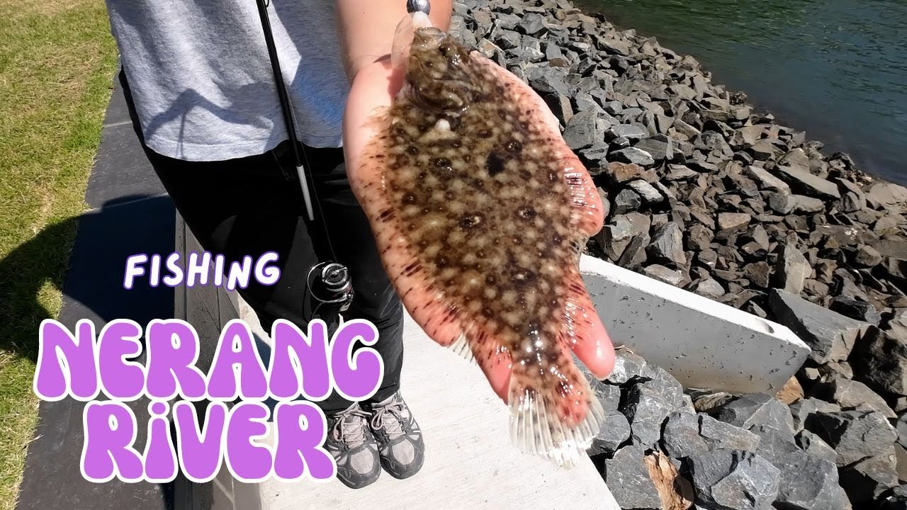 Hard Day Trying To Catch Fish - YouTube