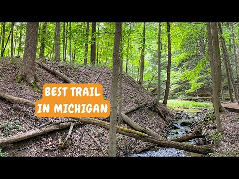 Hike the Beech Maple Trail at the Kalamazoo Nature Center in Michigan ...
