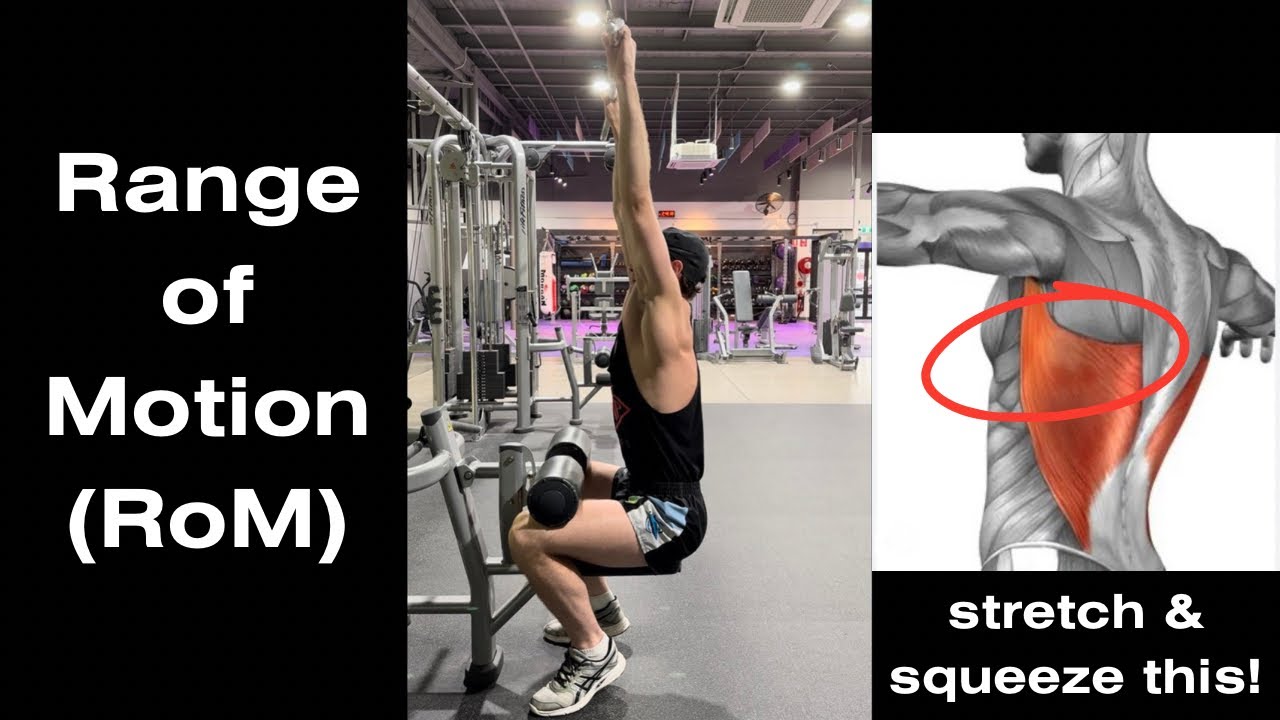 Training Basics - Range of Motion (RoM) Understanding How to Stretch ...