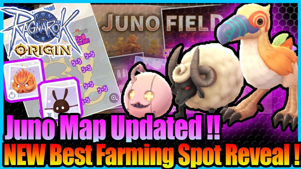 New Juno Best Farm Spot & EZ Purple Card Spot!! [Ragnarok Origin Global ...