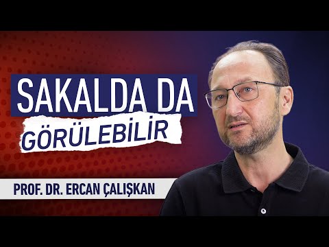 Saç Kıran Neden Olur? | Prof. Dr. Ercan Çalışkan