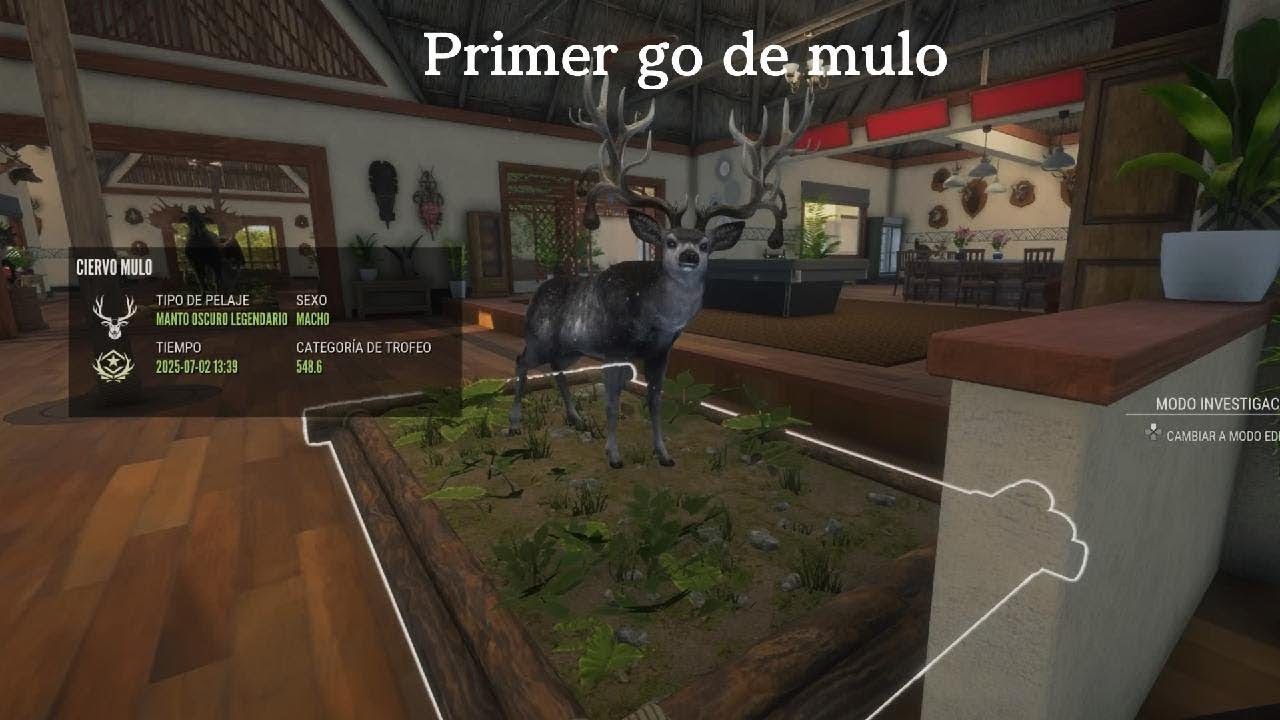 Primer go de mulo 😁 - YouTube