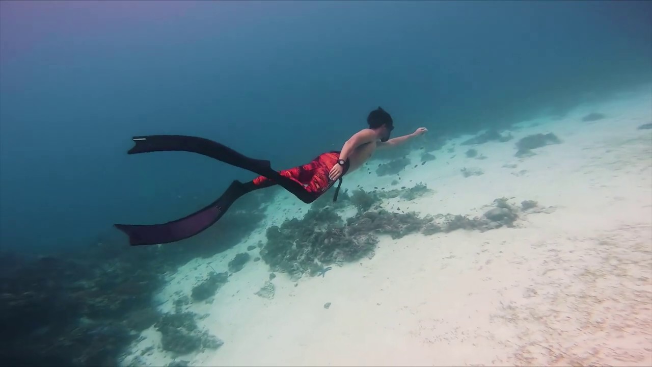 Bohol Freediving 2020 - YouTube