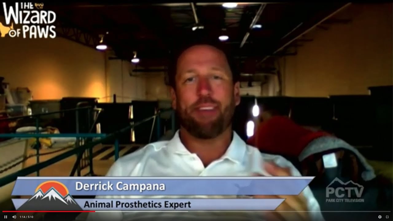 The Wizard of Paws & Derrick Campana - YouTube